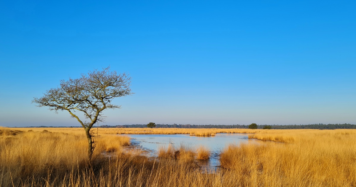 De Hoge Veluwe National Park